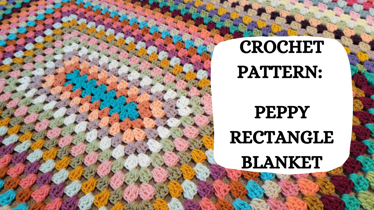 Crochet Video Tutorial - Crochet Pattern: Peppy Rectangle Blanket ...