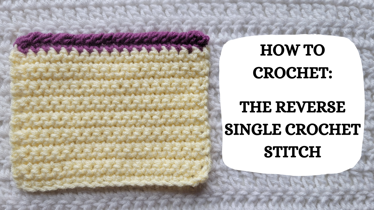 Crochet Video Tutorial - How To Crochet: Reverse Single Crochet Stitch ...